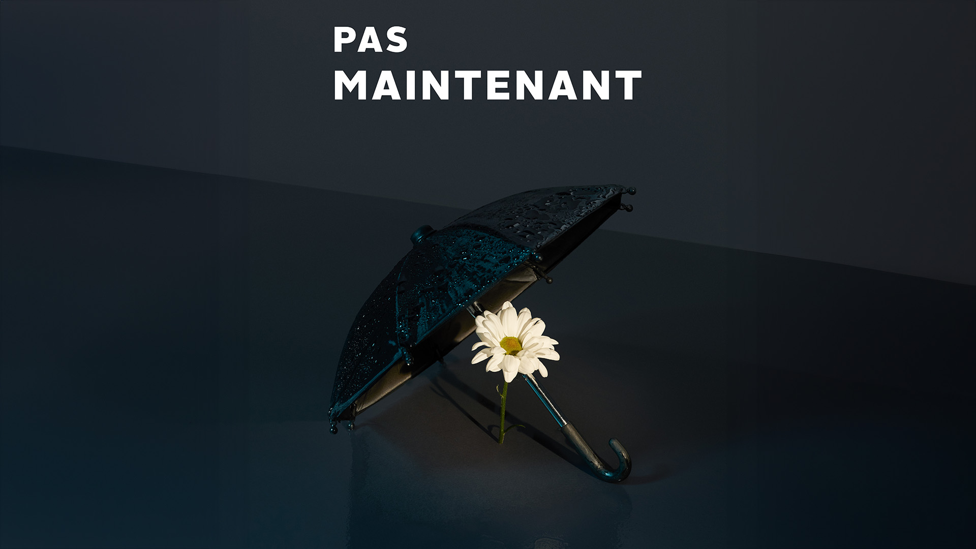 Pas maintenant - Programmation | Théâtre Petit Champlain